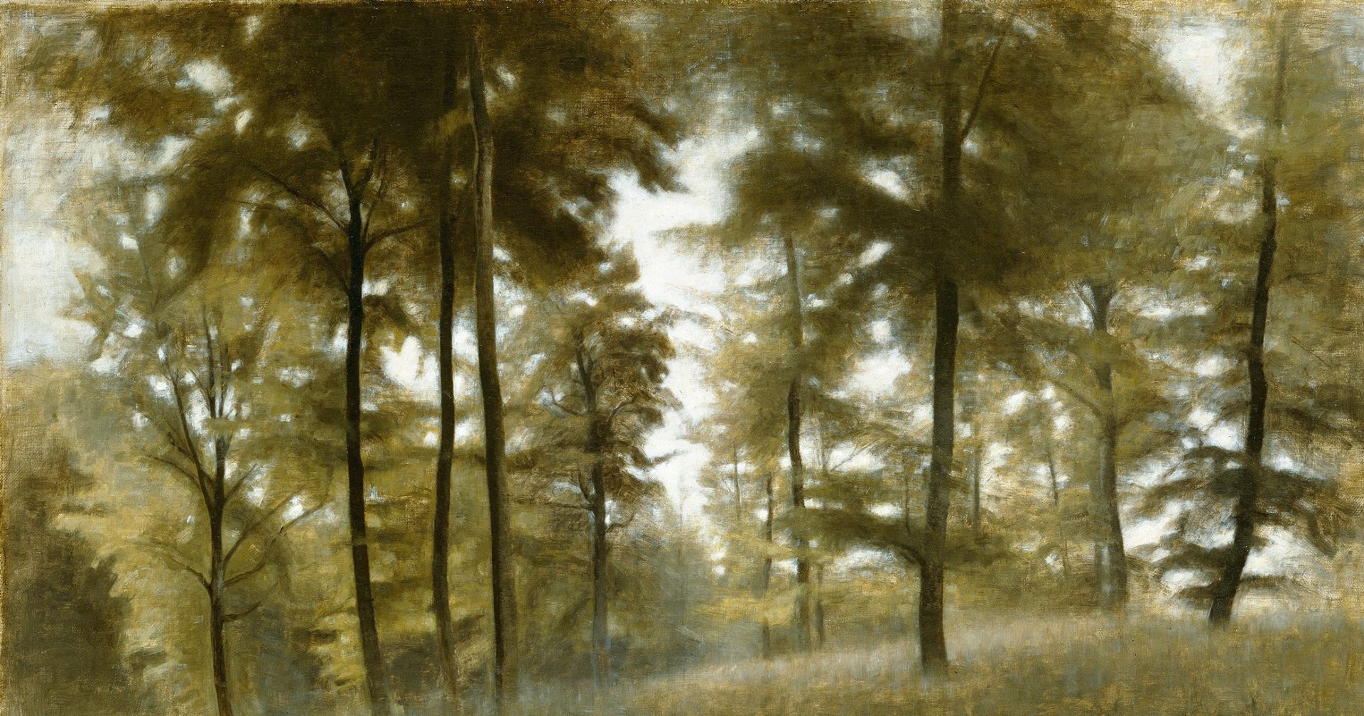 Ung Bøgeskov, Frederiksværk (1904) – Document Sverige