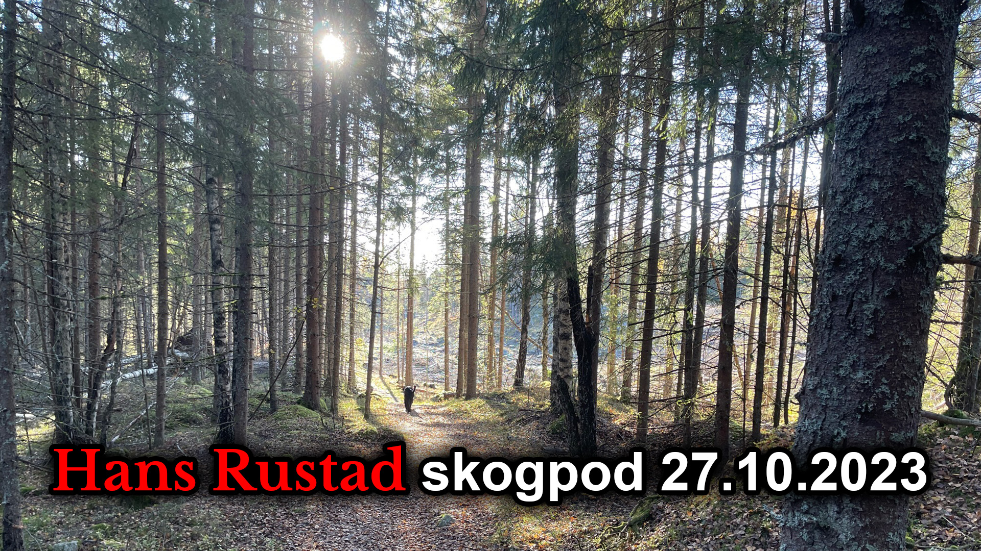 Skogpod 27. oktober 2023 – Document Sverige