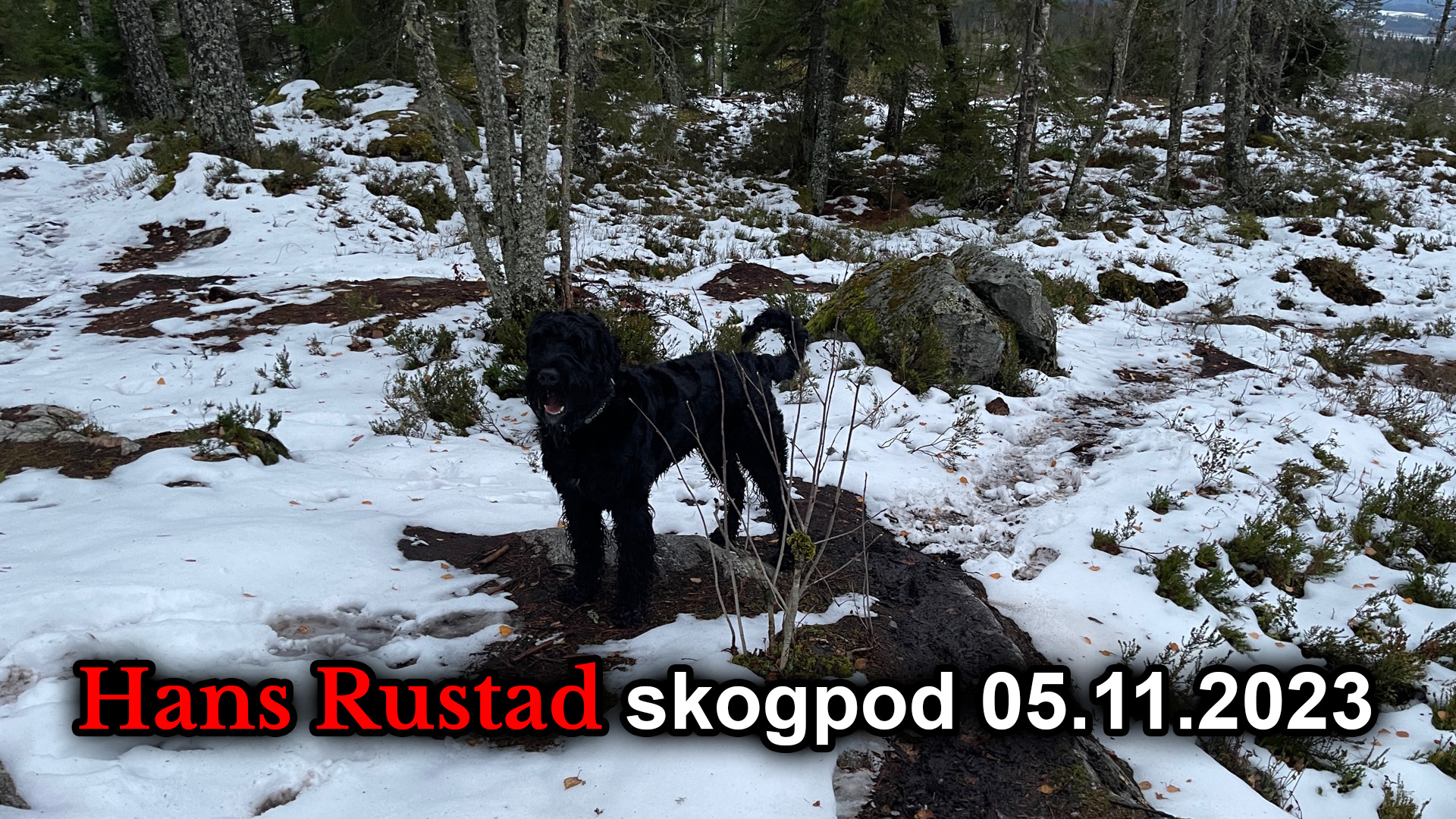 Skogpod 5. november 2023 – Document Sverige
