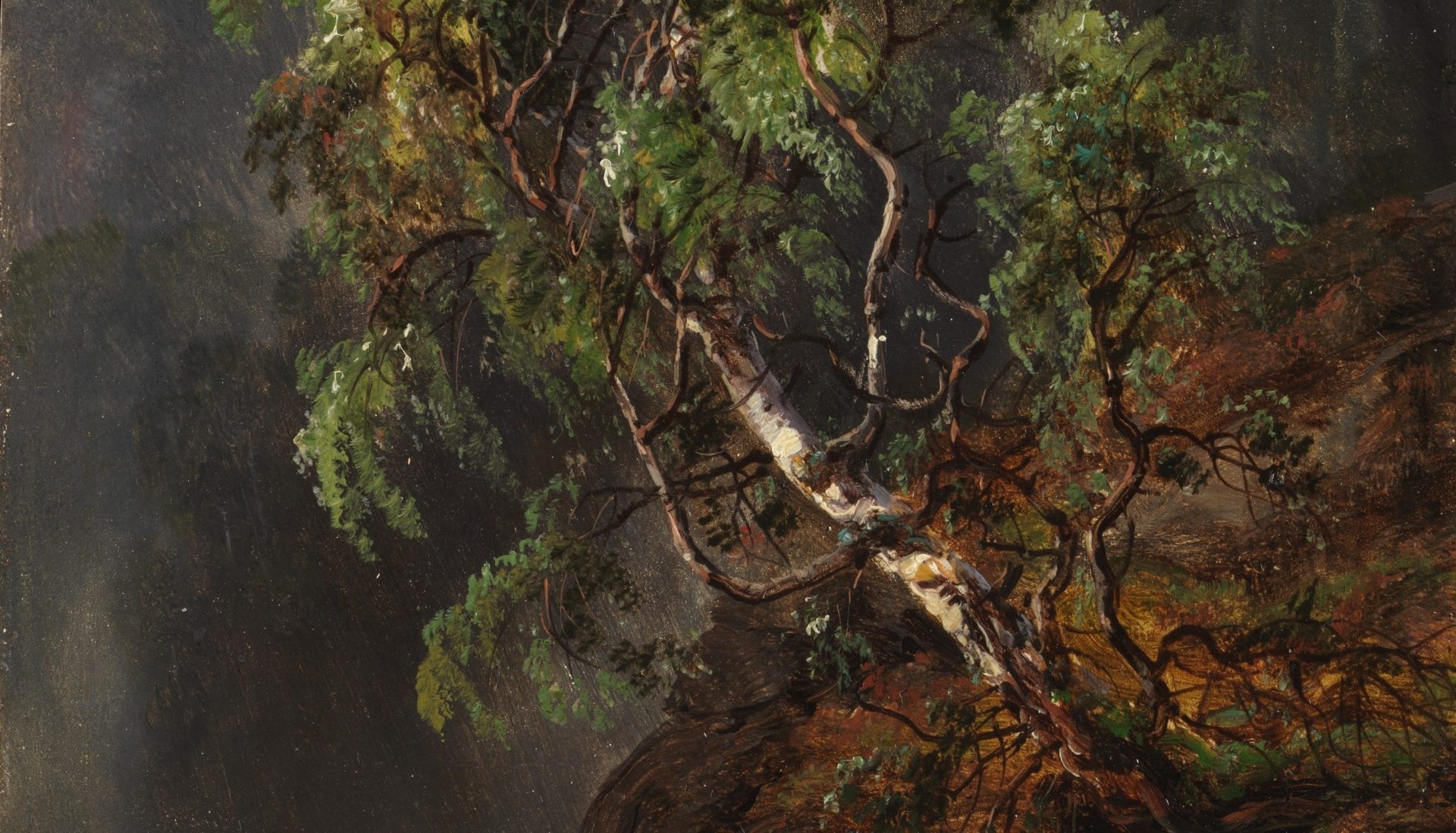 Birk i Storm (1849). – Document Sverige